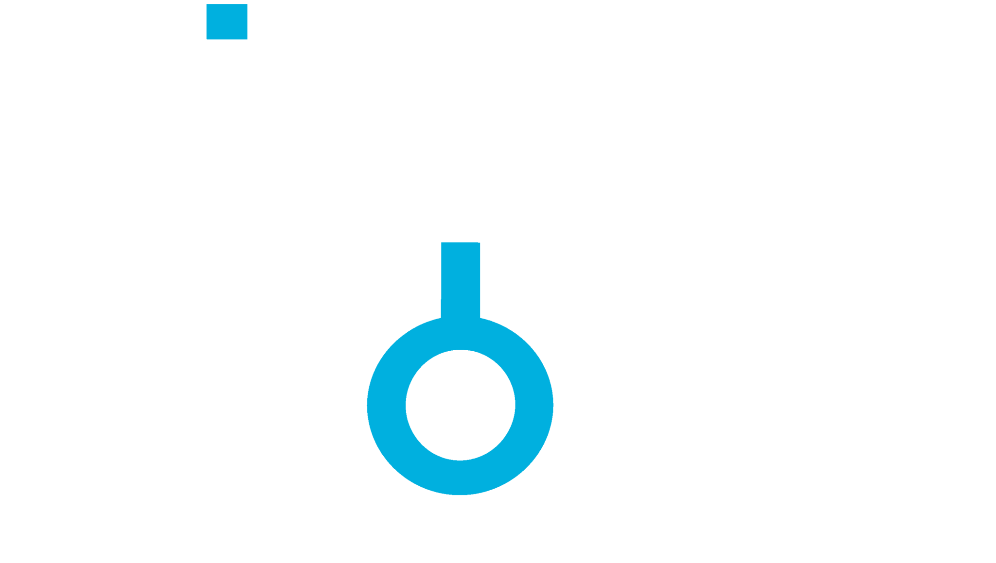 Pillar Ceiling Hanger – Picture Hanging Systems